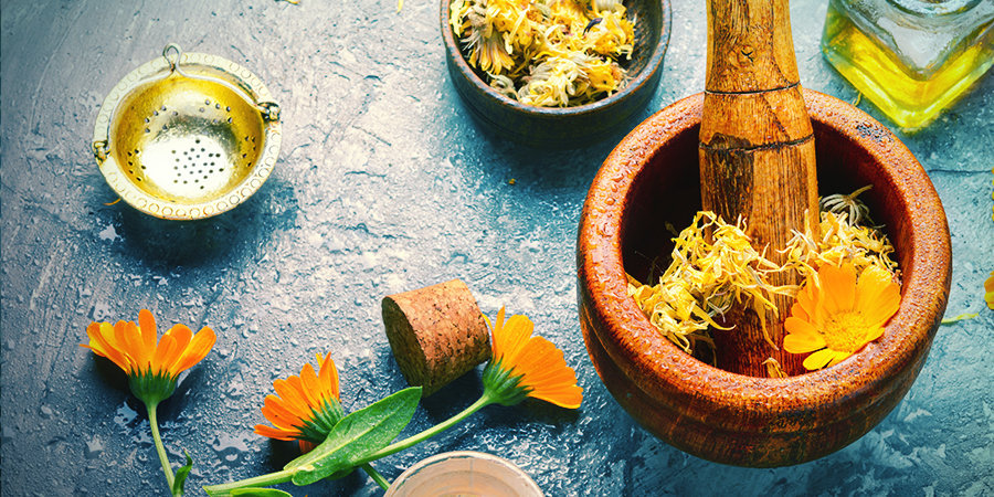 Cómo Hacer Extracto De Caléndula Y Para Qué Sirve - Zamnesia Blog