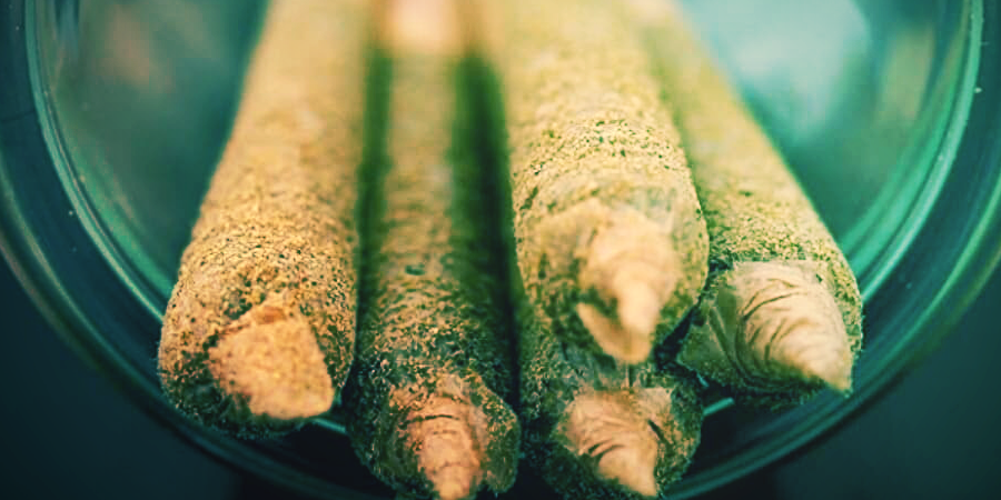 Kief: Qué Es Y Cómo Se Obtiene - Zamnesia Blog