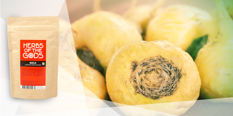 Top 15 De Hierbas Naturales Que Aportan Energía Y Vitalidad - Zamnesia