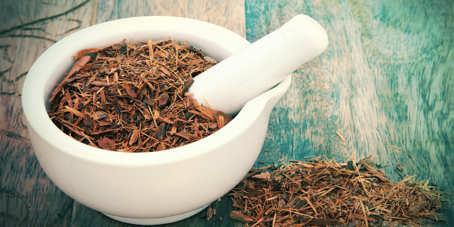 Catuaba: Todo Lo Que Debes Saber - Zamnesia