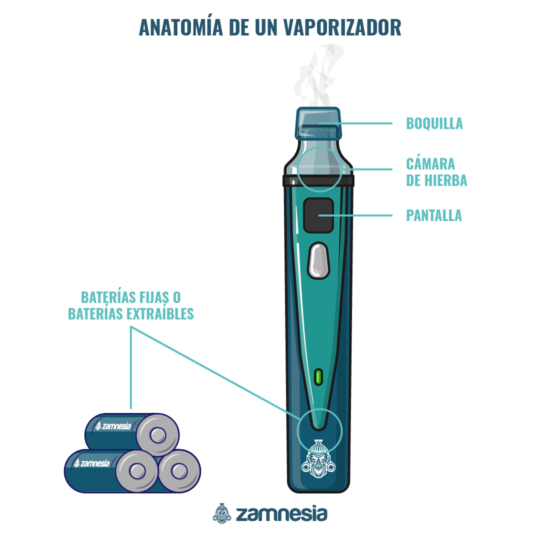 ¿Cómo Se Usa Un Vaporizador De Hierbas Secas? - Zamnesia