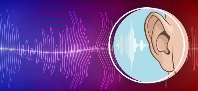 Los seis tipos de alucinaciones que puedes experimentar - Zamnesia Blog